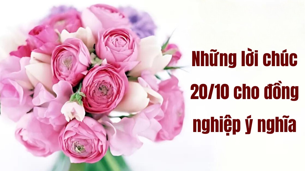 30+ lời chúc 20/10 cho đồng nghiệp nữ hài hước, hay 2026